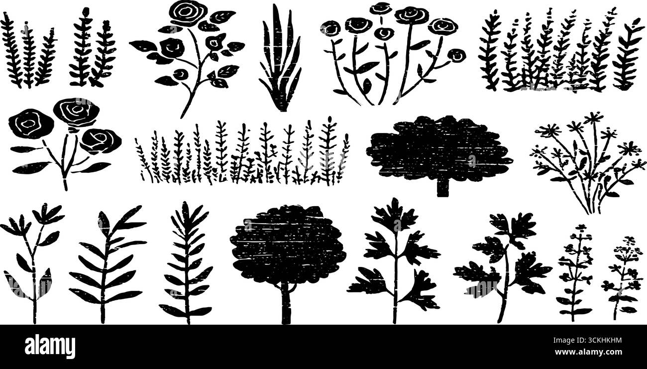 Medieval garden plants linocut collection for unique floral art and ...