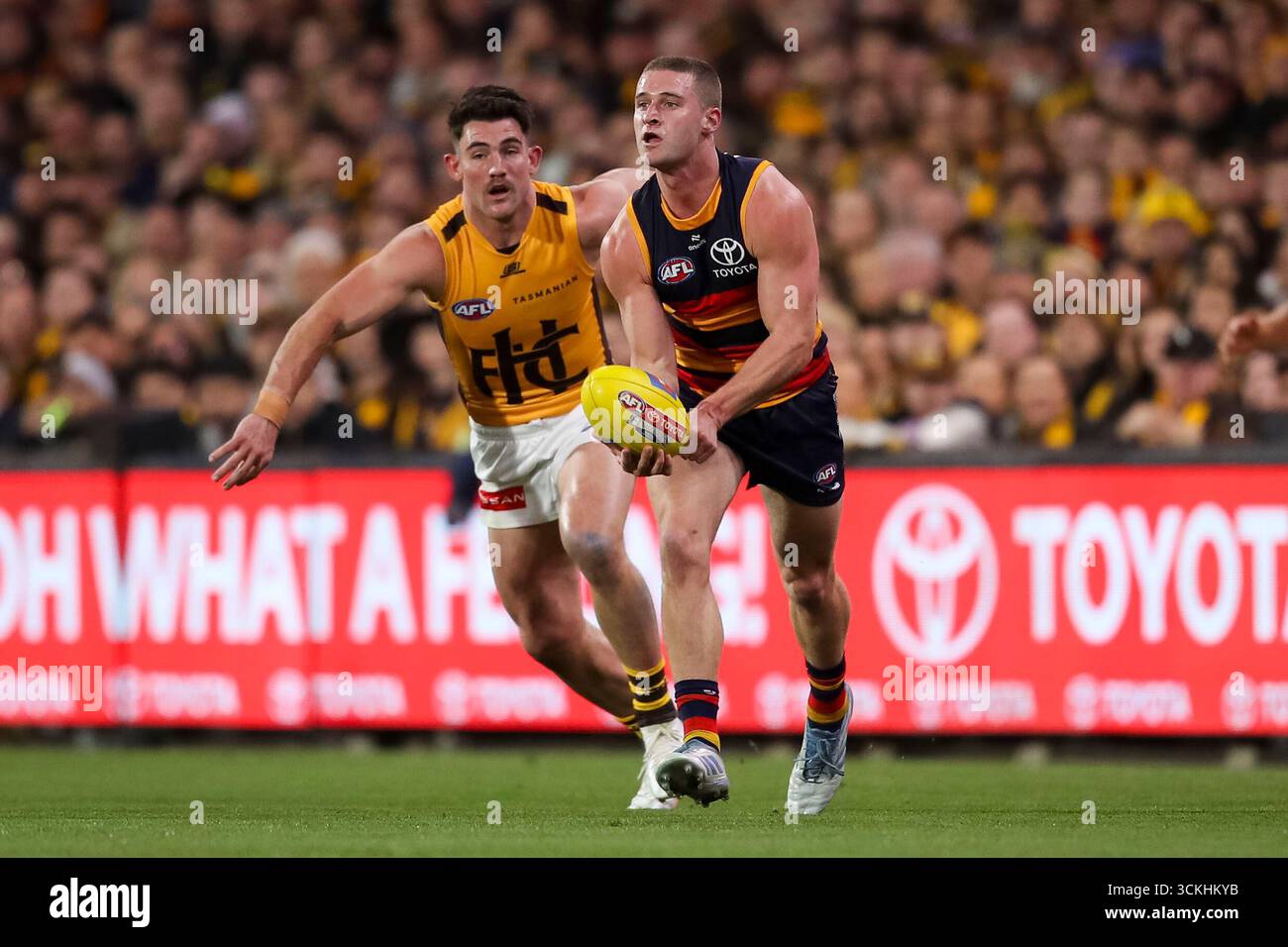 Sam Berry of the Crows during the AFL Semi-Final match between the ...