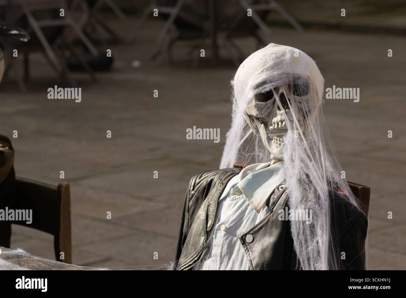 A funny human skeleton wearing a leather jacket and cobwebs, Horror ...