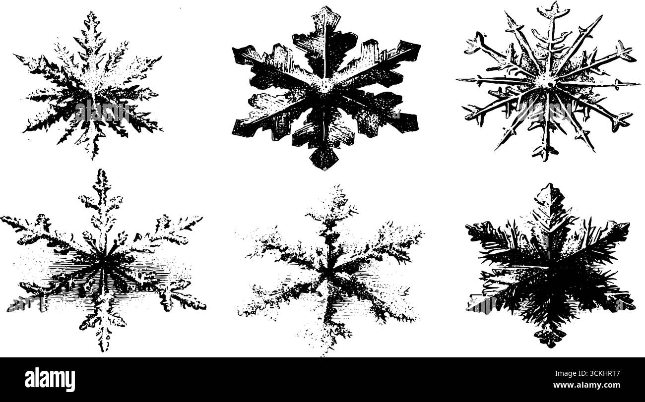 Vintage collection of hand drawn engraved snowflakes in geometric ...