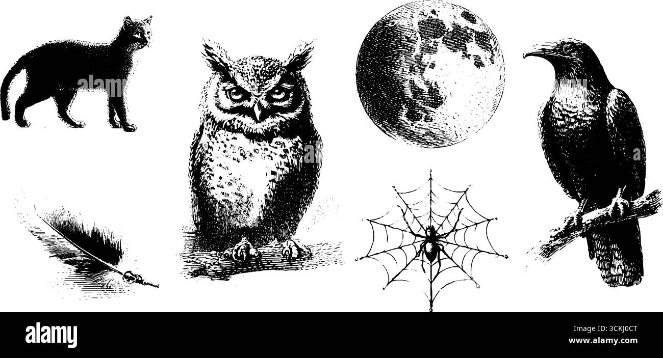 Mystical night symbols collection featuring owl, cat, moon, and more ...