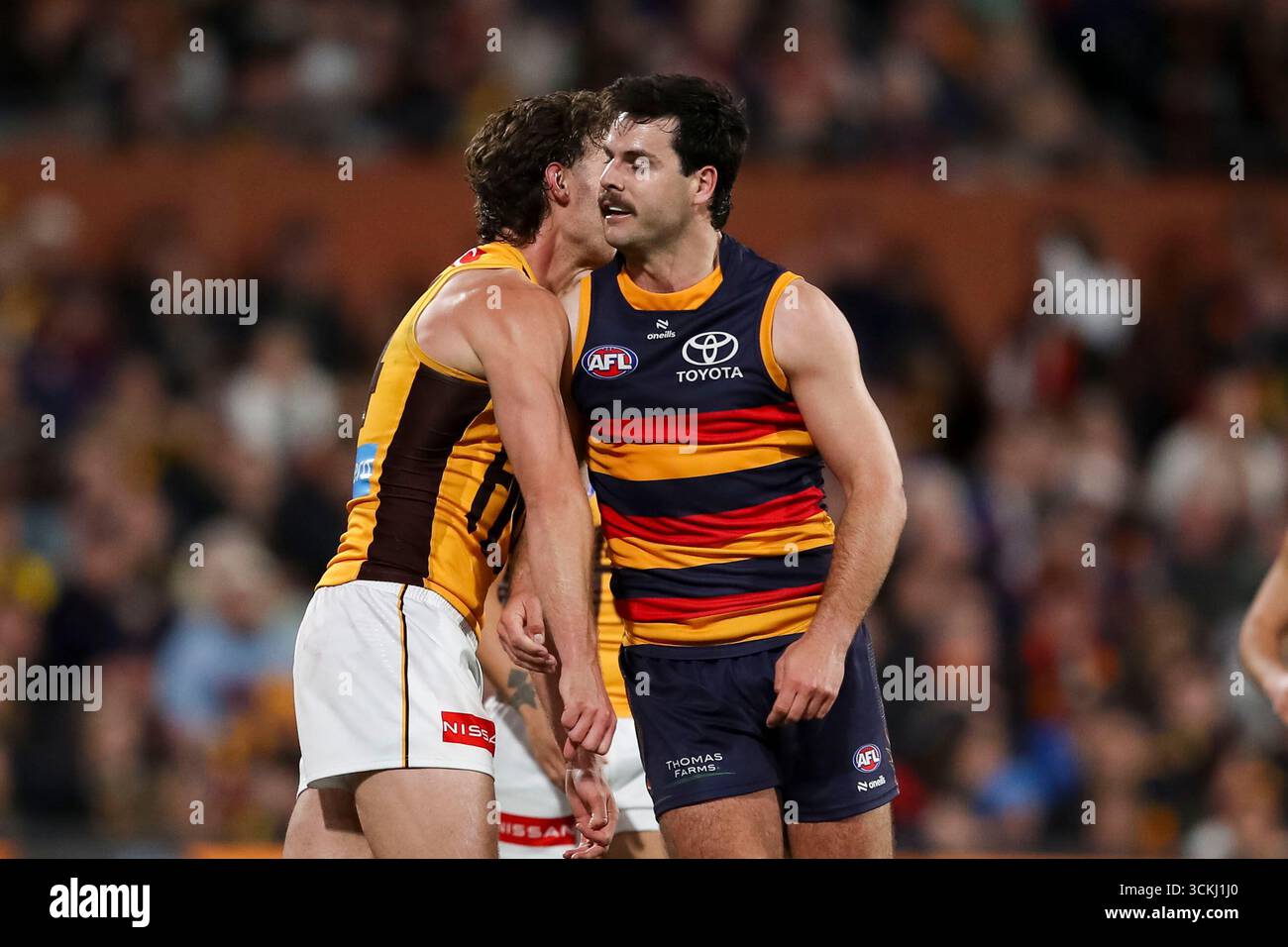 Jack Scrimshaw of the Hawks and Darcy Fogarty of the Crows during the ...