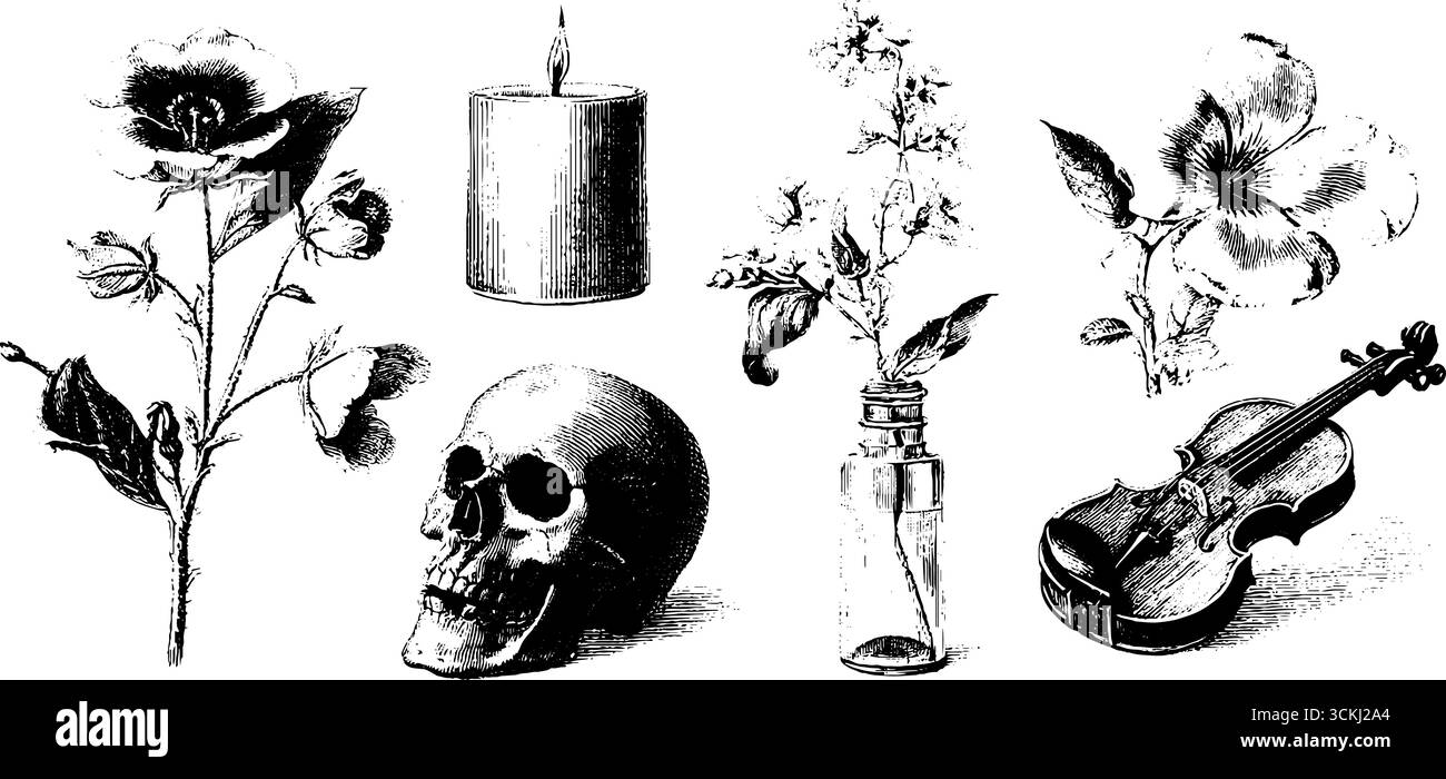 Vanitas elements collection with floral and skull details - artistic ...