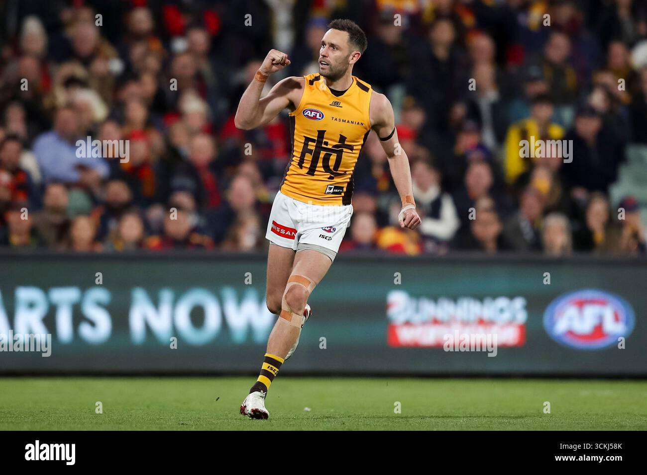 Jack Gunston of the Hawks celebrates a goal during the AFL Semi-Final ...