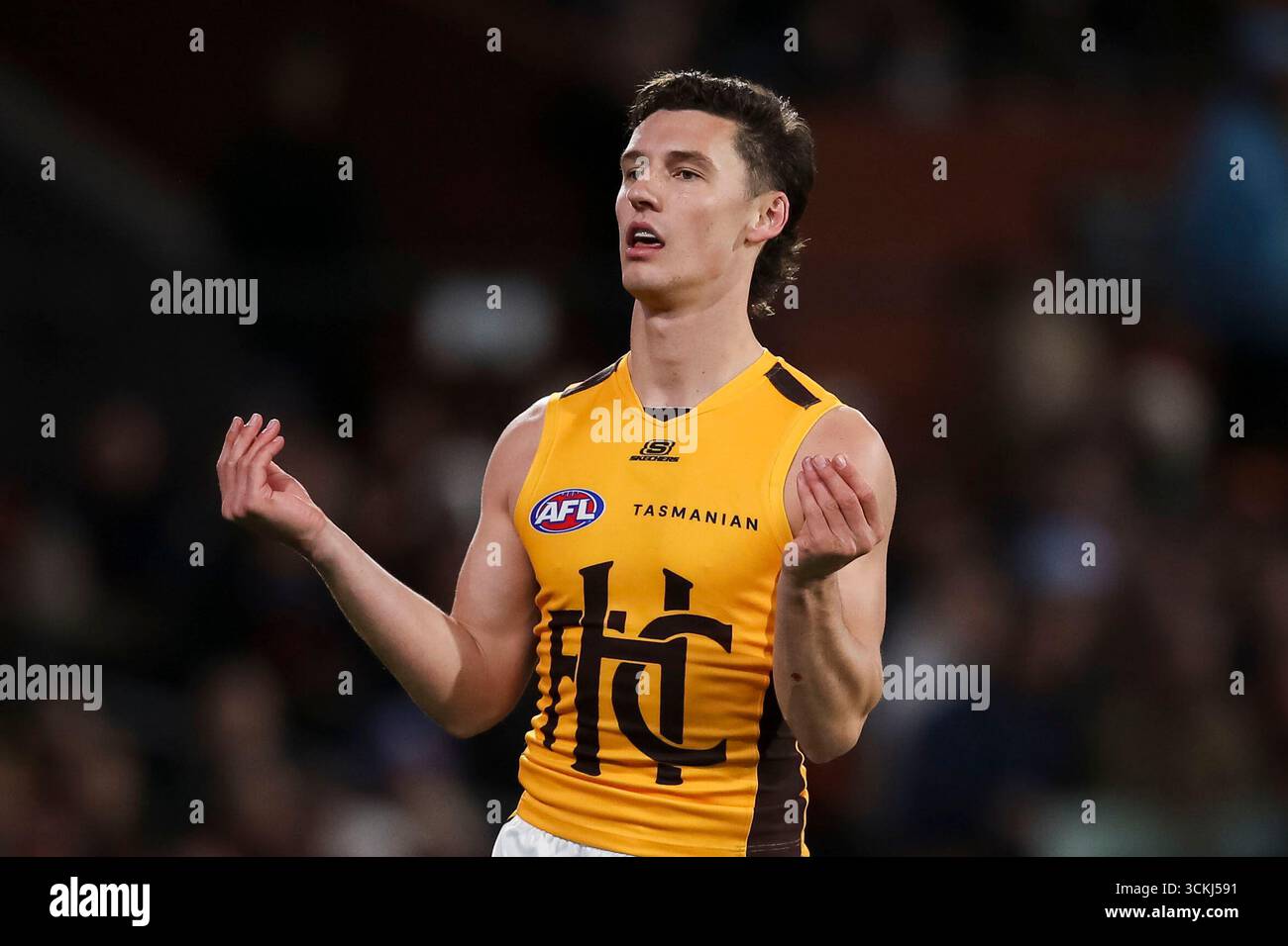 Connor Macdonald of the Hawks celebrates a goal during the AFL Semi ...