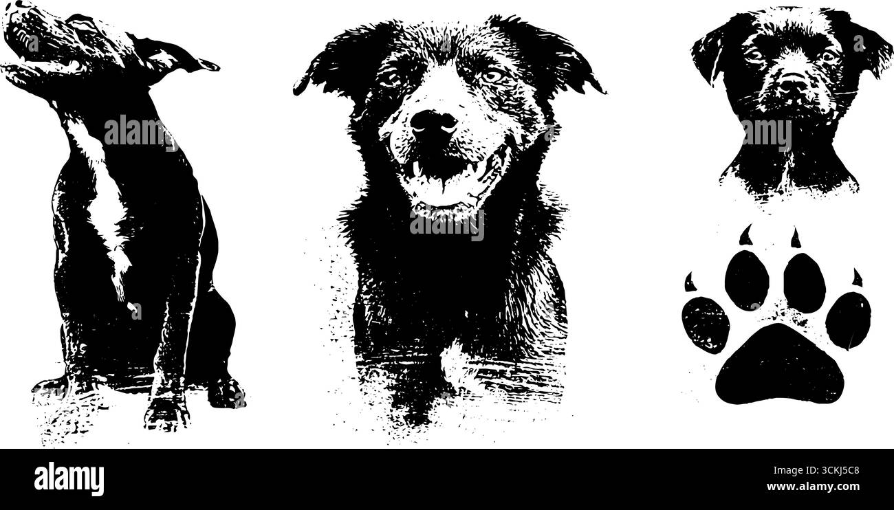 Black and white dog stencil set for creative designs and decor Stock ...