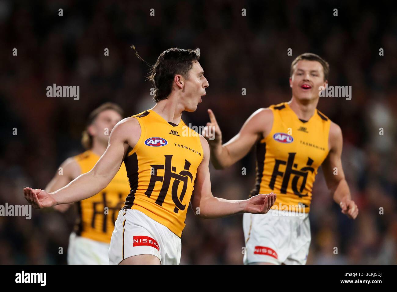 Connor Macdonald of the Hawks celebrates a goal during the AFL Semi ...