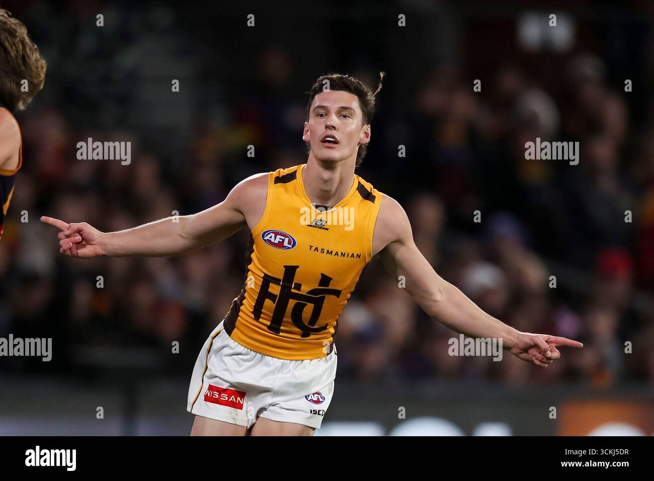 Connor Macdonald of the Hawks celebrates a goal during the AFL Semi ...