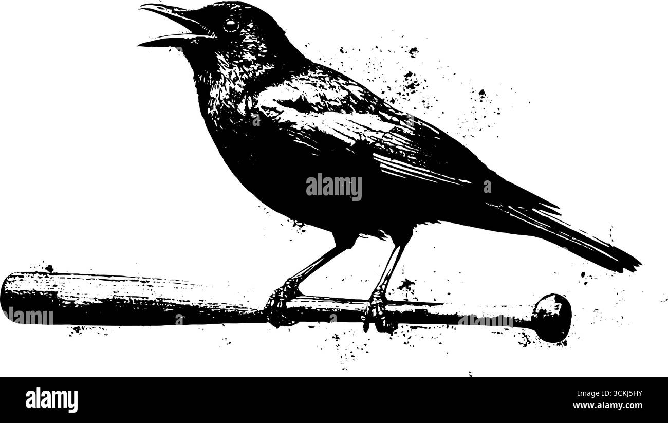 Black crow street art Cut Out Stock Images & Pictures - Alamy