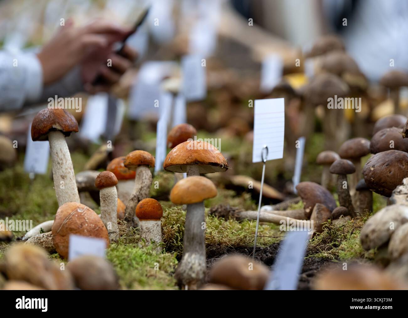 12 14 2025 hi-res stock photography and images - Alamy