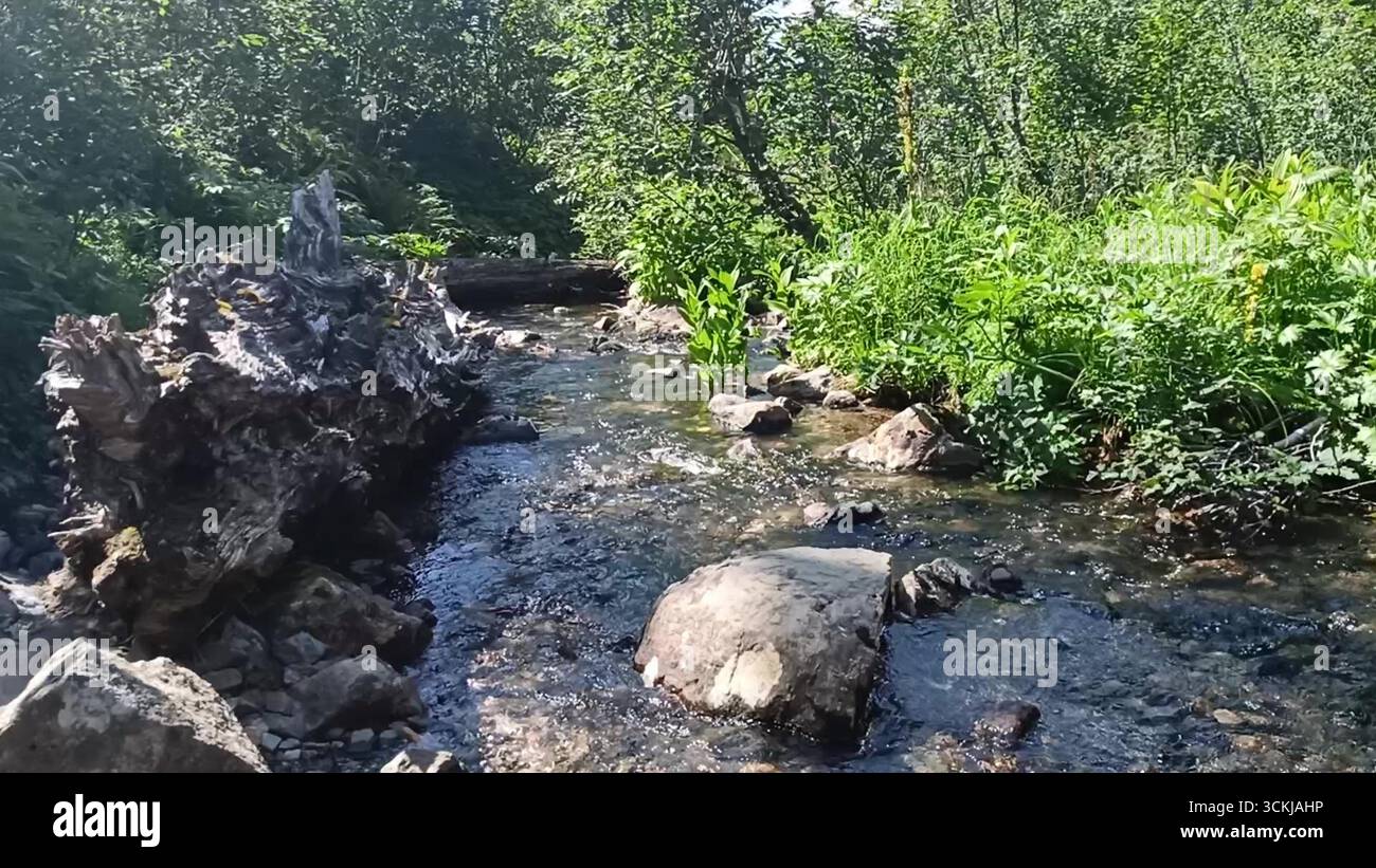 Boulders in the bed of a small stream flowing down from the mountains ...