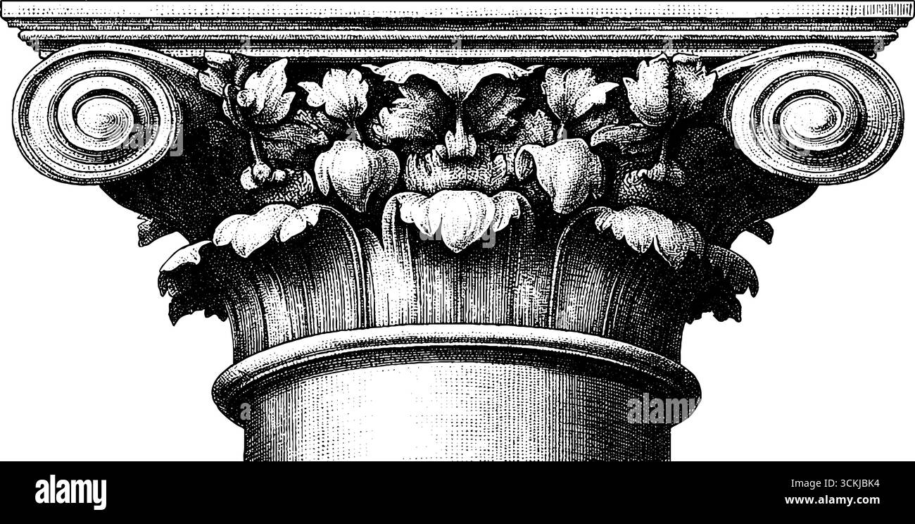 Classical architecture with fluted columns and acanthus capitals ...