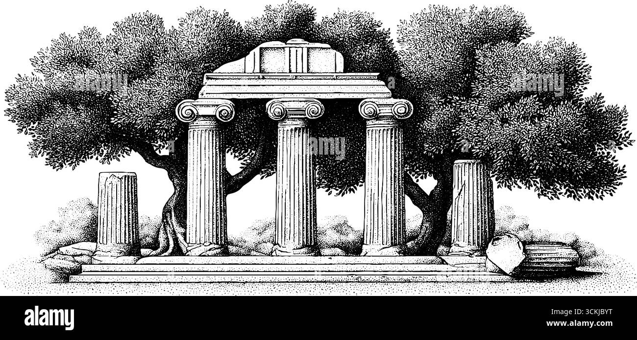 Stone columns trees in Black and White Stock Photos & Images - Alamy