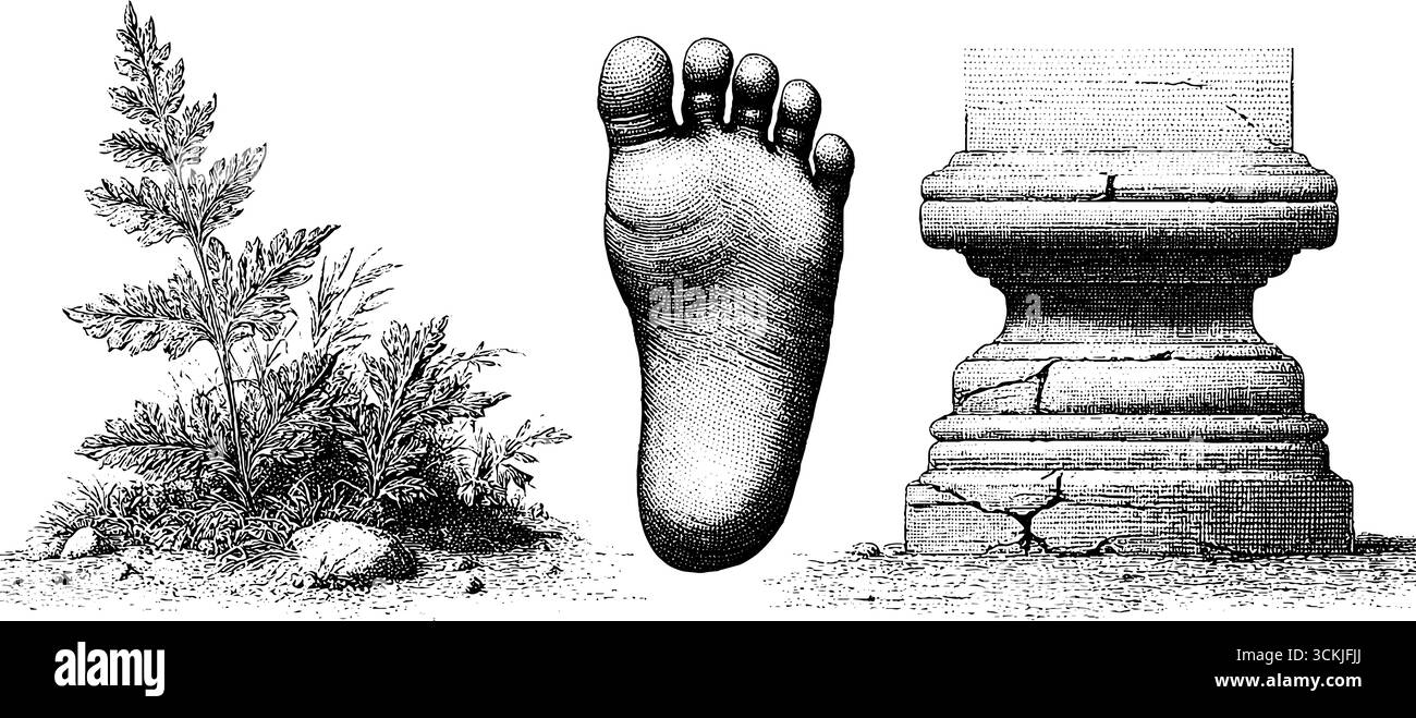 Vintage sketch of child's footprint and botanical elements for retro ...