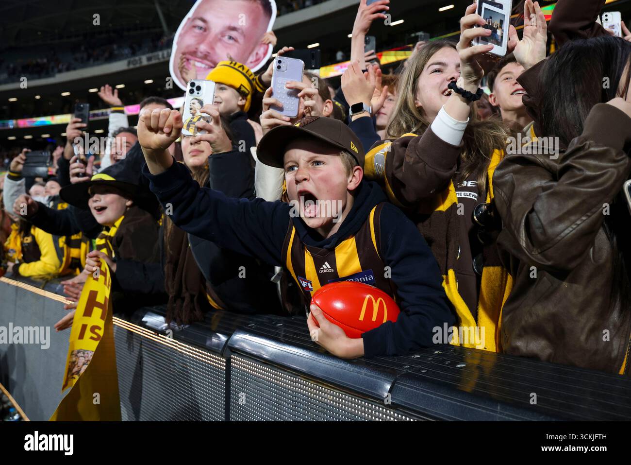 Hawks fans celebrate victory during the AFL Semi-Final match between ...