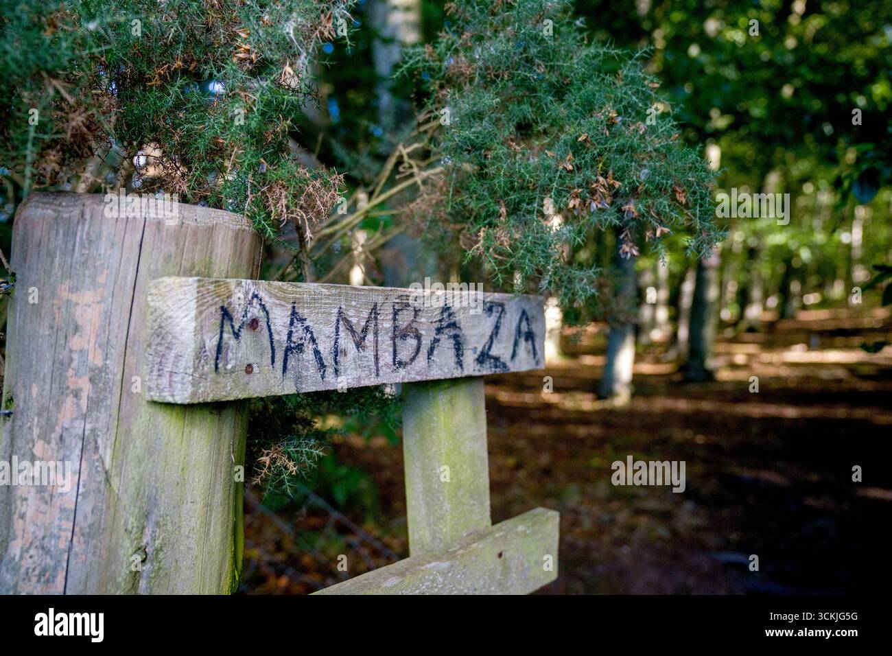 Kingdom of kubala hi-res stock photography and images - Alamy