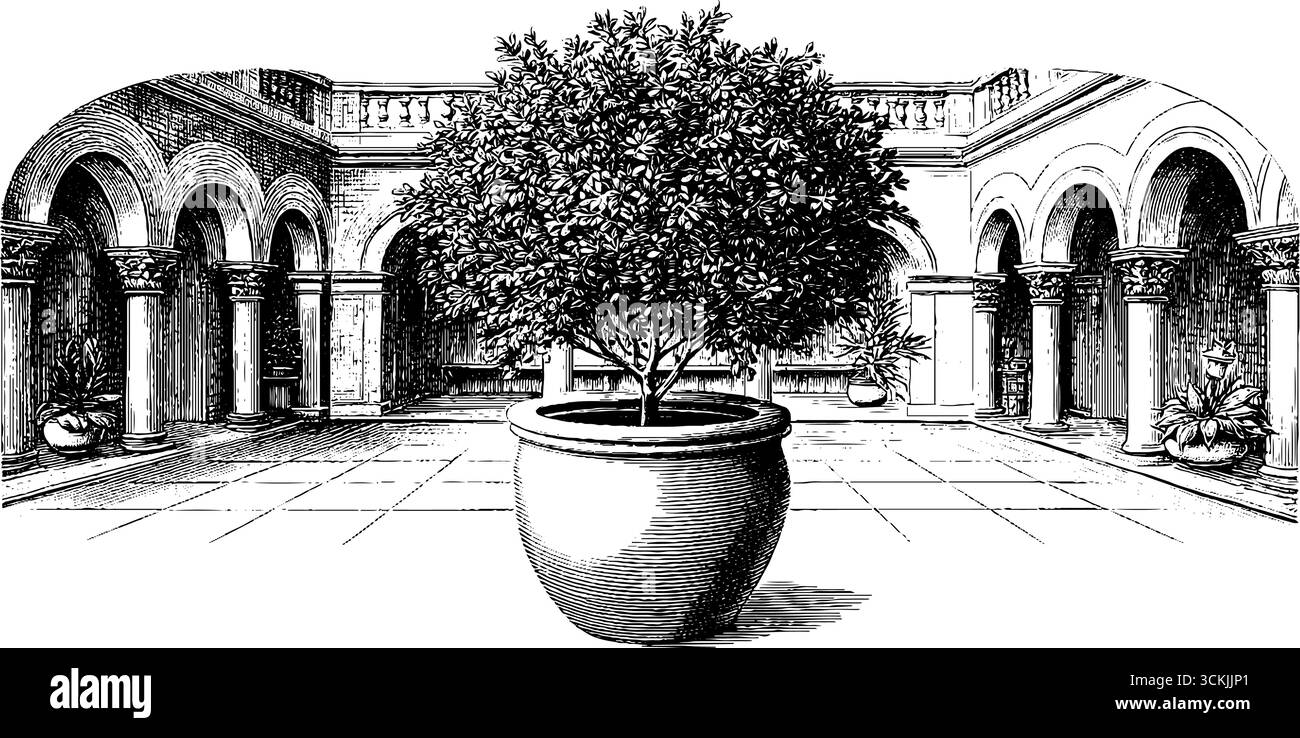 Classical atrium with columned architecture and potted plant in vintage ...