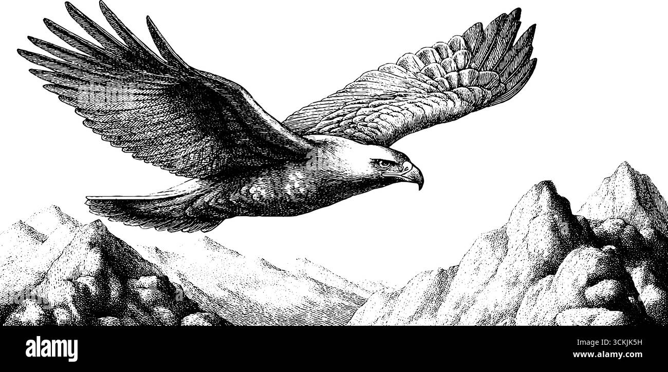 Majestic eagle gliding over rocky peaks with prey in claws - vintage ...