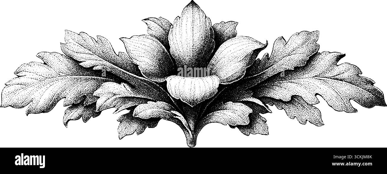Vintage floral filigree engraving with ornate border design for retro ...