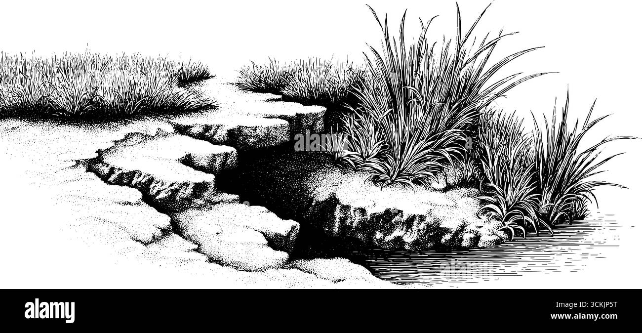 Vintage hand drawn canal bend with crumbling edge and grass silhouette ...