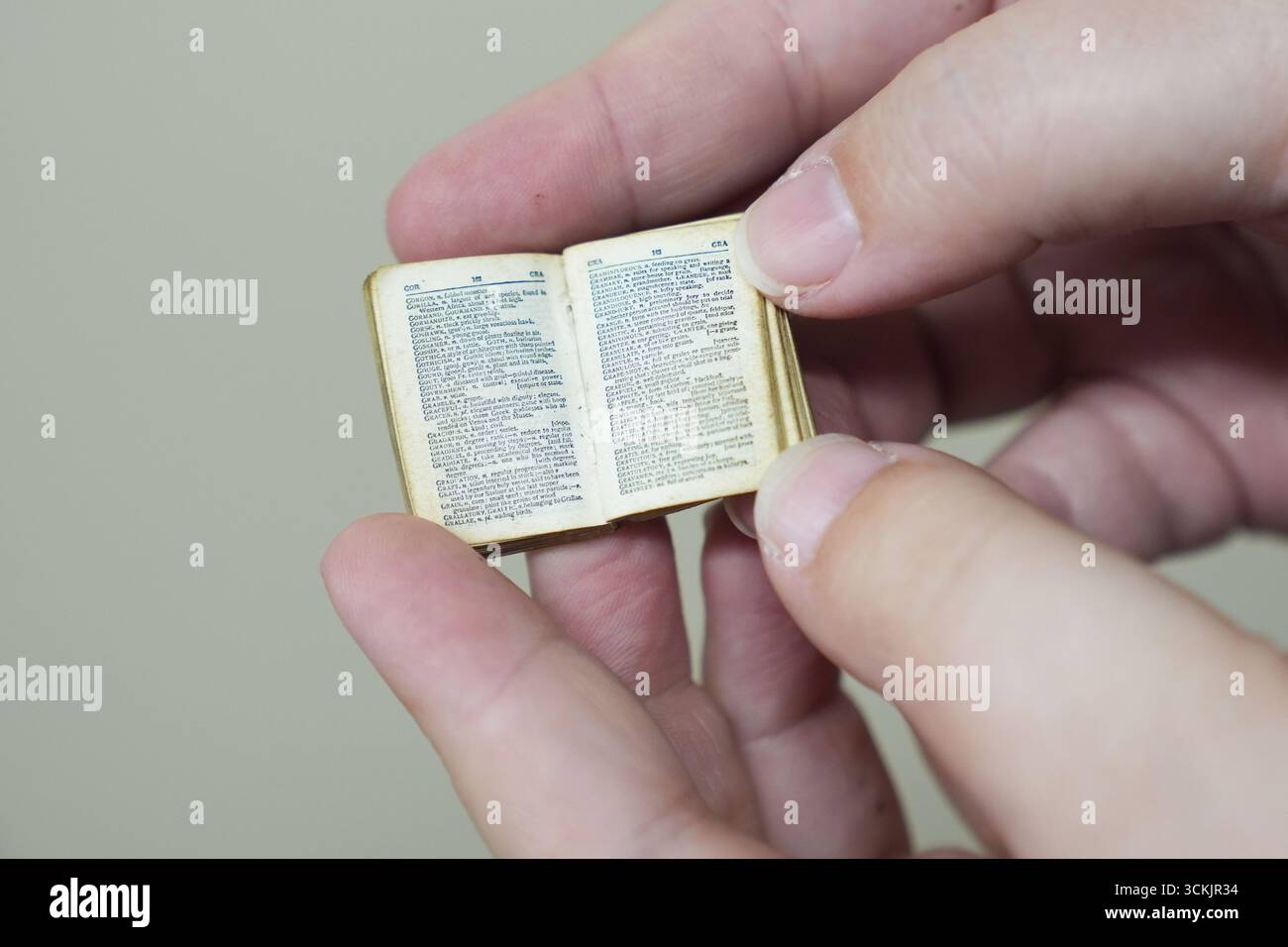 Rarely seen book, Bryce's the smallest English dictionary in the world ...