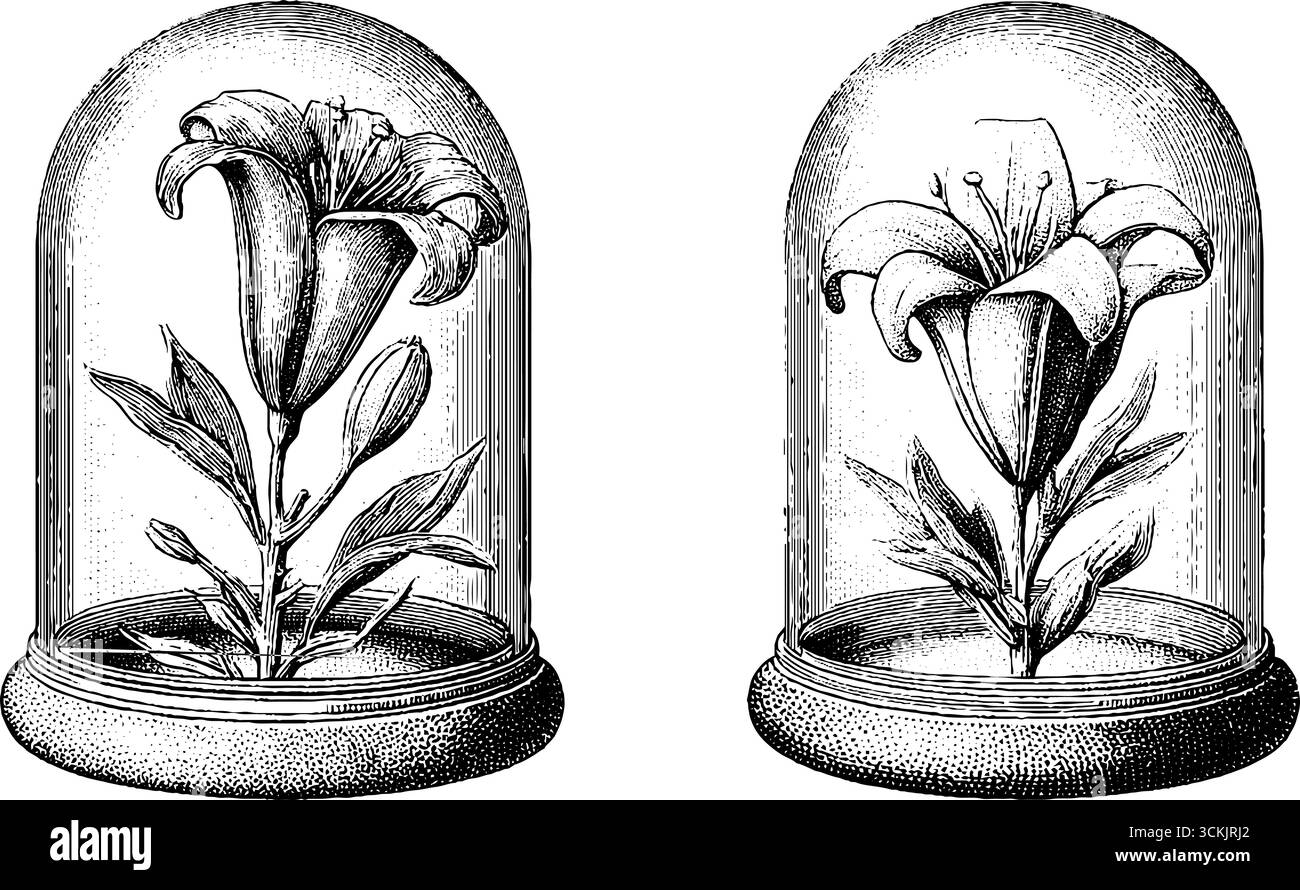 Vintage glass dome display with pressed flowers and locket design ...