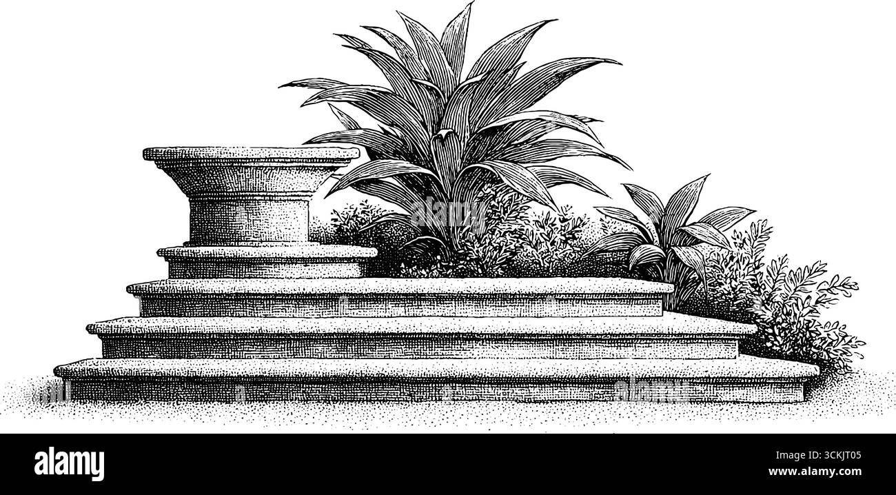 Vintage hand drawn illustration of grand foyer steps with plants design ...