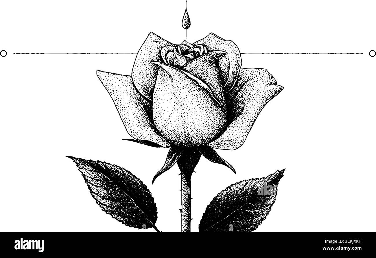Vintage rose with thorns and dew dotwork design for tattoo art Stock ...