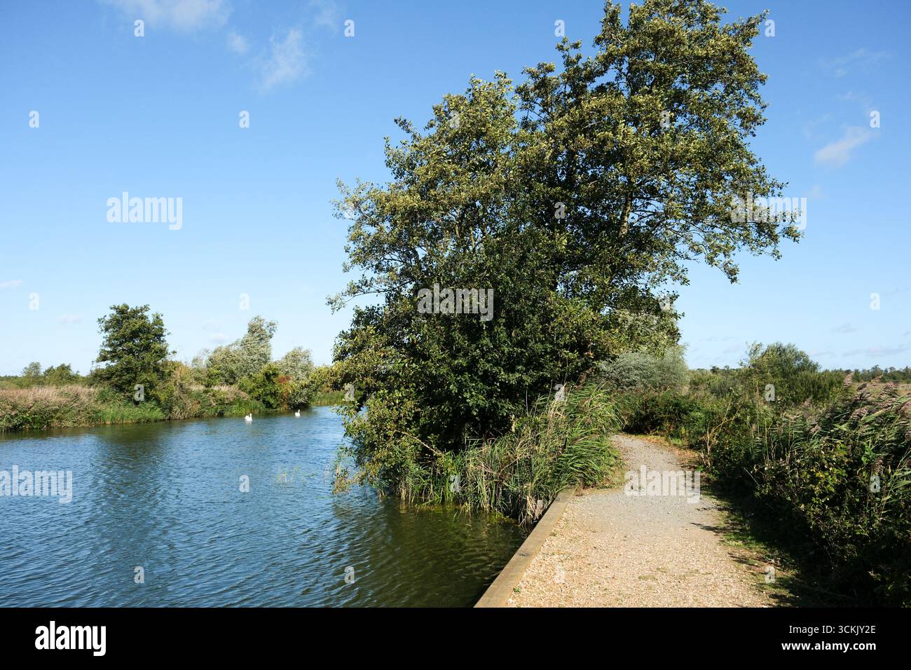 How Hill, Ludham, Norfolk, UK. 12th Sep 2025. Sunny day at How Hill ...