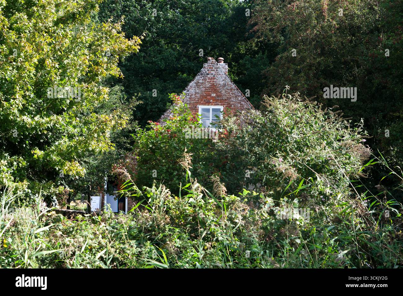 How Hill, Ludham, Norfolk, UK. 12th Sep 2025. Sunny day at How Hill ...