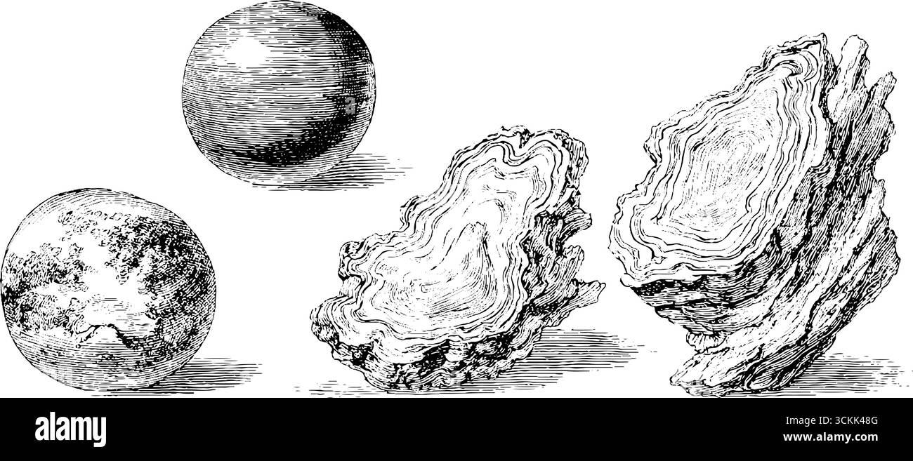 Vintage hand drawn engraving of geological minerals and rock textures ...