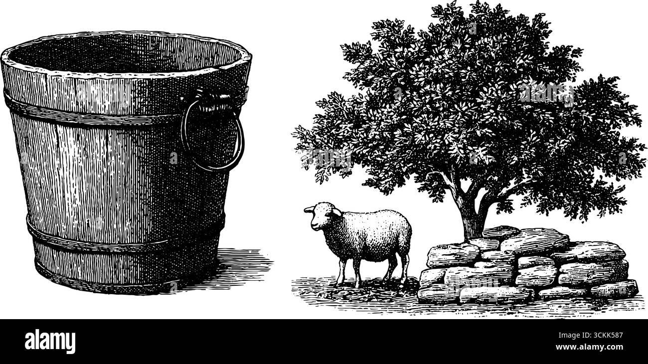 Rustic pastoral scene with tree, sheep, and stone wall in engraved ...