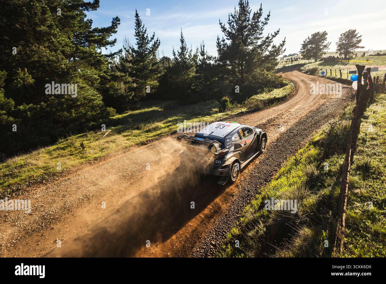 33 Elfyn EVANS, Scott MARTIN, Toyota GR Yaris Rally1, action during the ...
