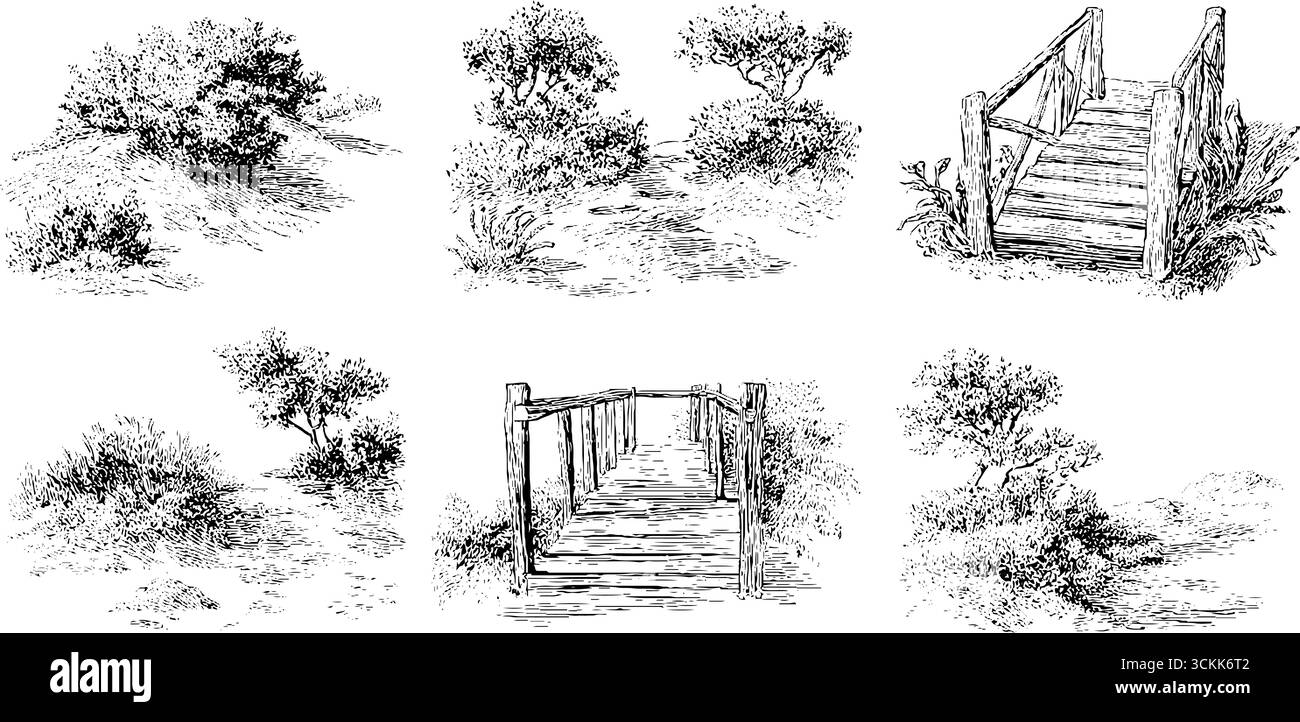Vintage black and white engraved illustration set of mangrove scenery ...