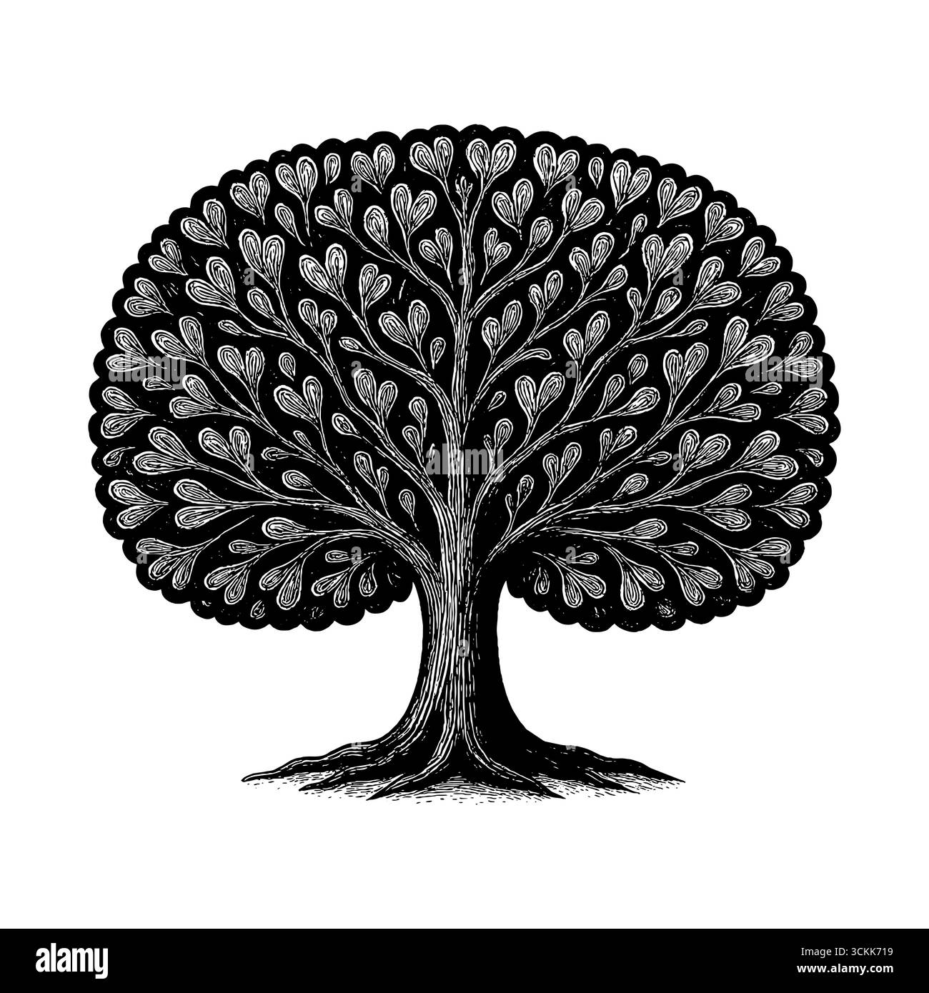 Faith growth Black and White Stock Photos & Images - Alamy