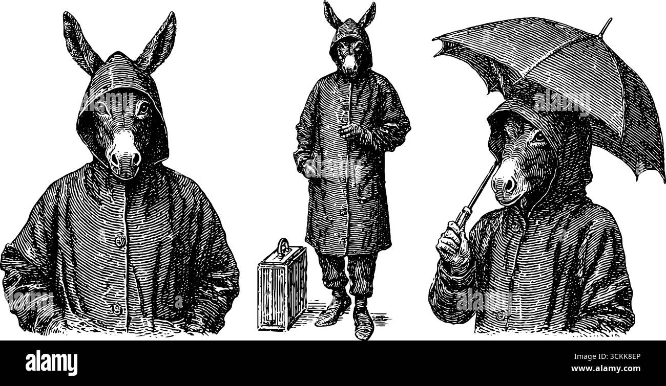 Donkey in the rain Stock Vector Images - Alamy