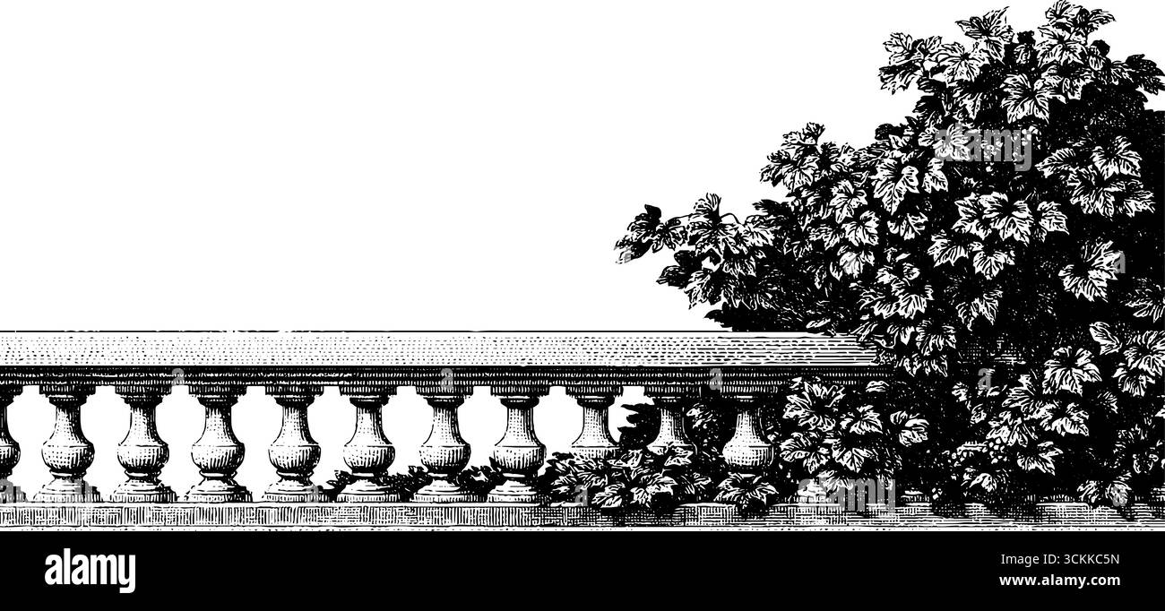 Vintage engraved design of dusty balustrade with lush foliage for ...