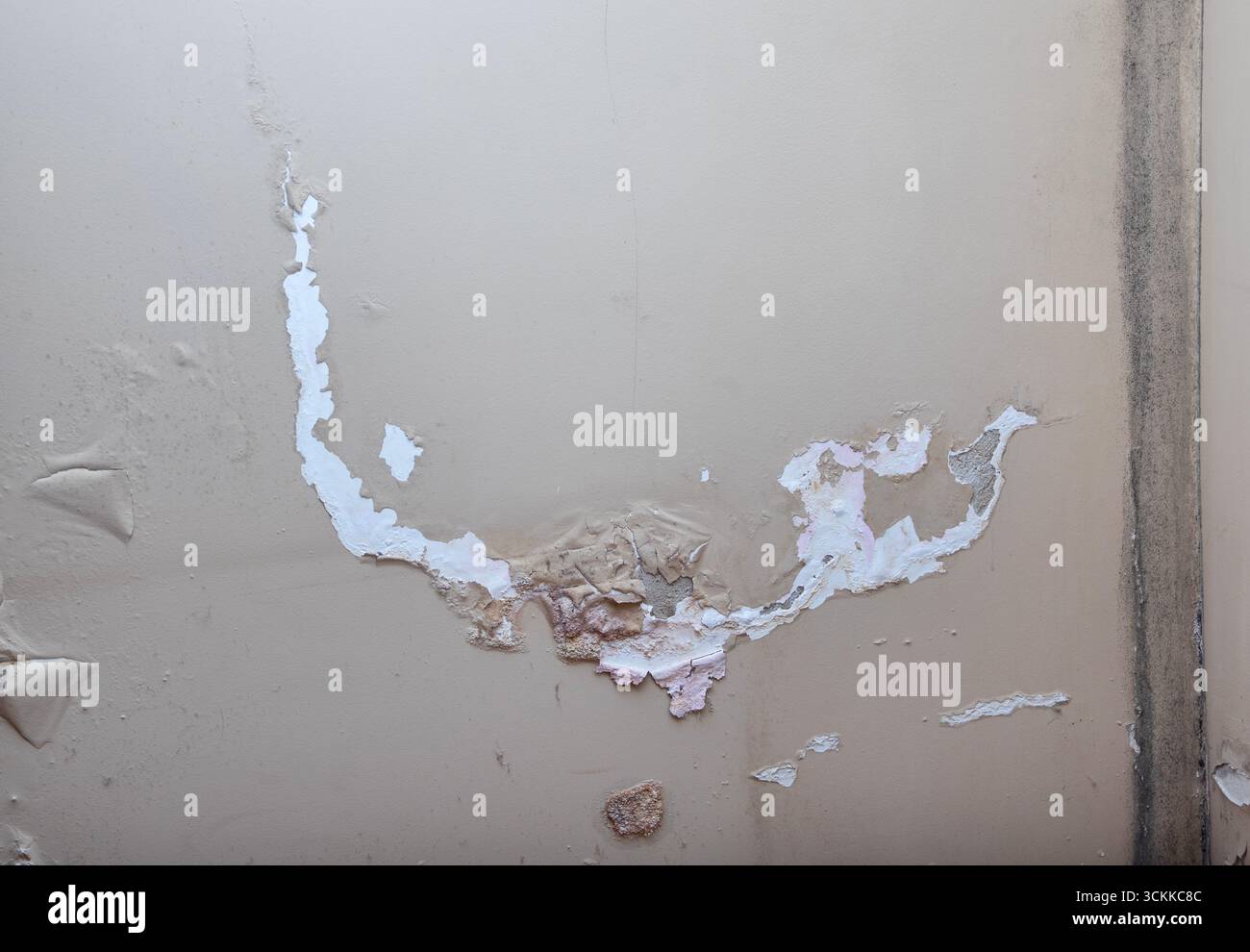 Surfacewall hi-res stock photography and images - Alamy