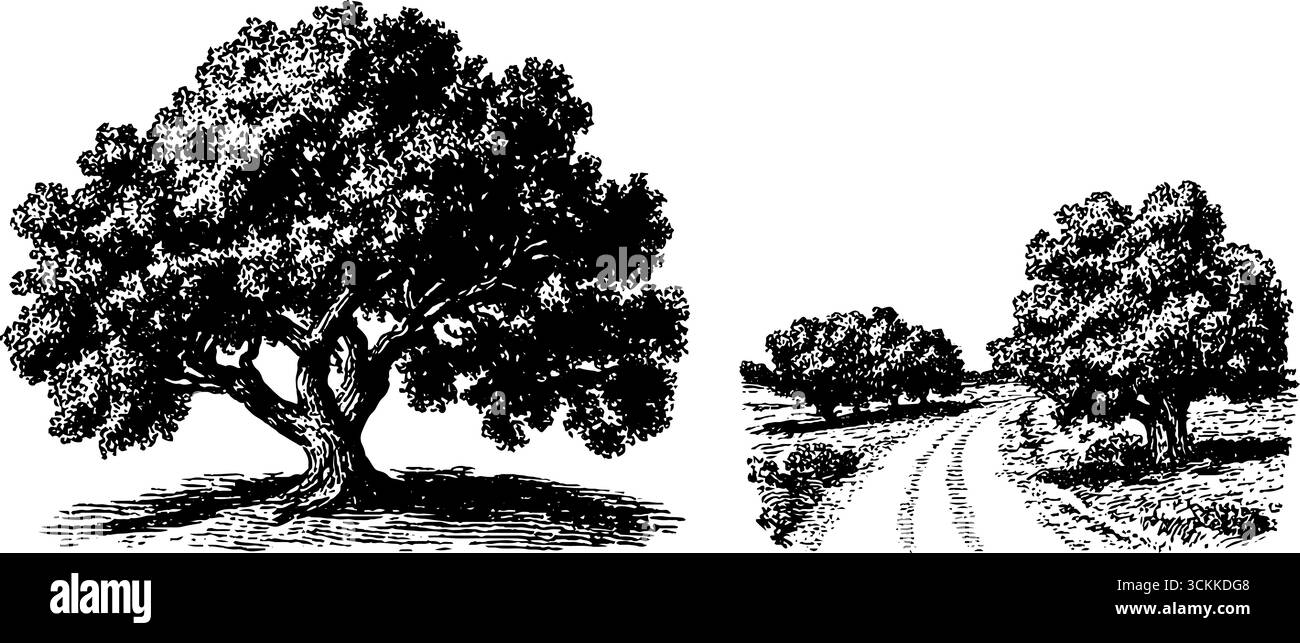 Rural landscape winding road Cut Out Stock Images & Pictures - Alamy