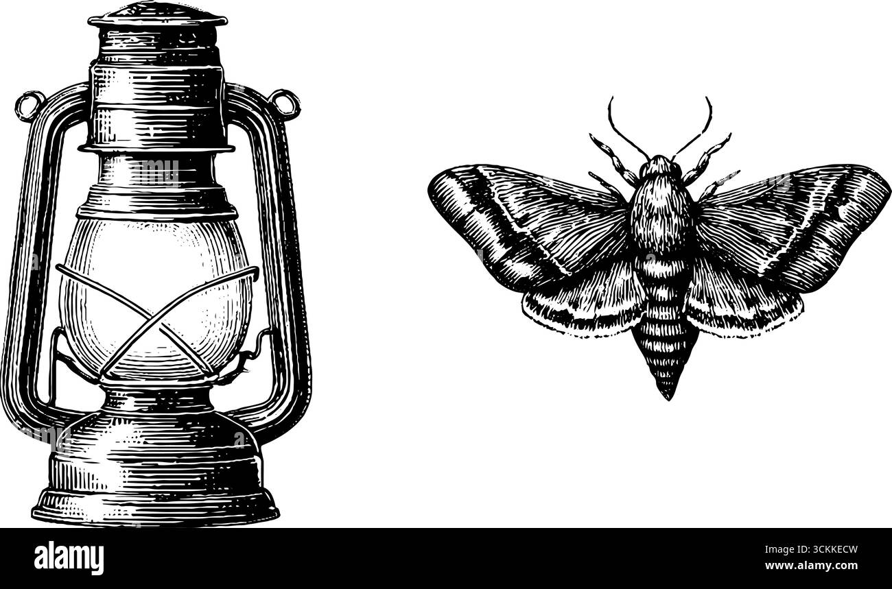 Vintage lantern and moth engraving for retro design art print Stock ...