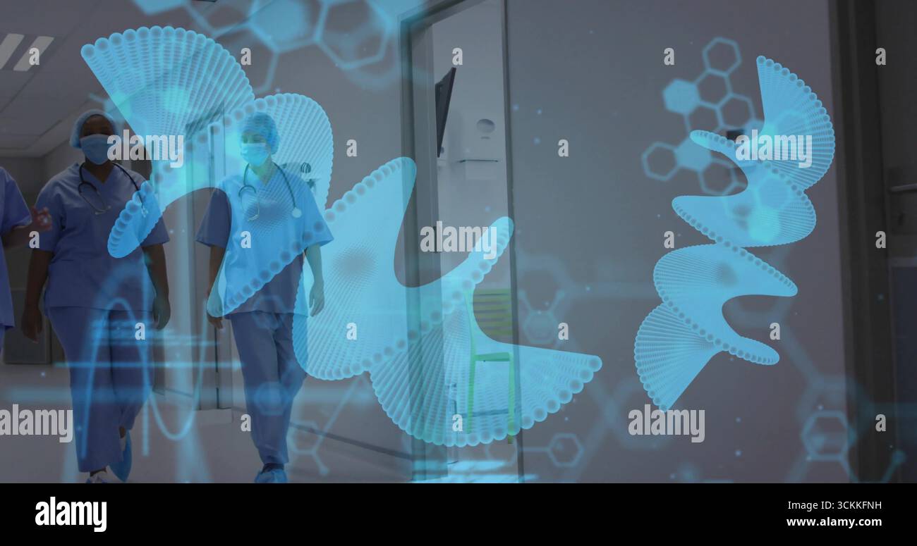 Diverse female healthcare professionals walking hi-res stock ...