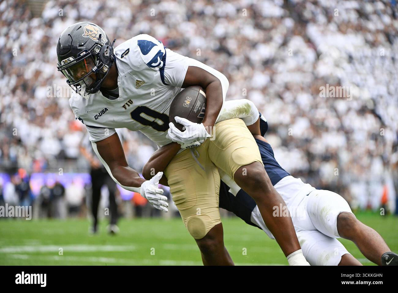 Florida International tight end Dallas Payne (0) gains yardage against ...