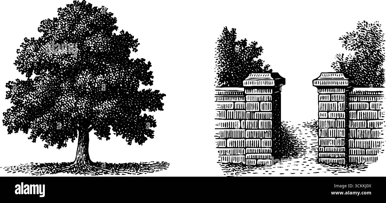 Vintage engraved illustration of a tree and brick gate with pathway ...