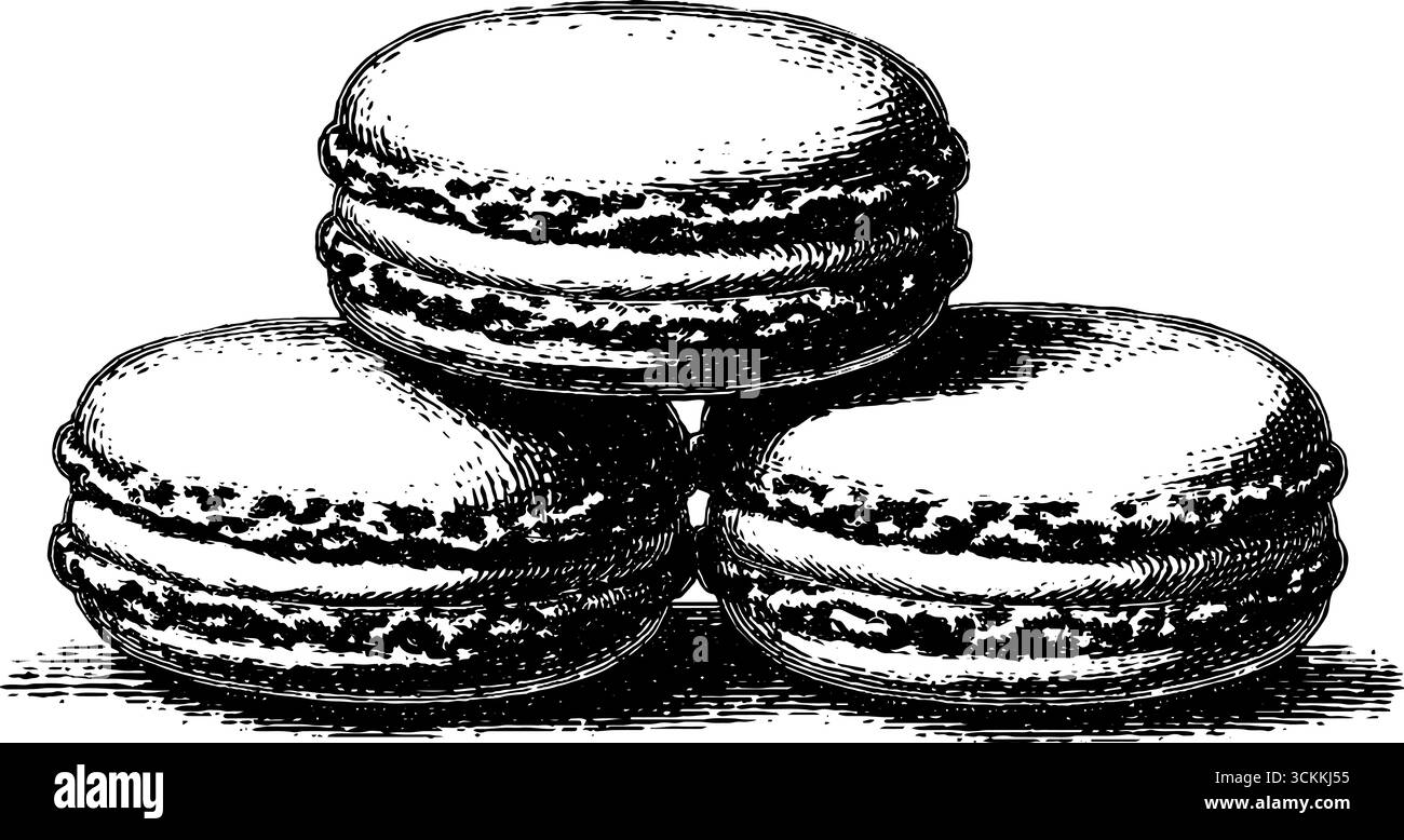 Detailed engraving of macaron stack for confectionery design and ...