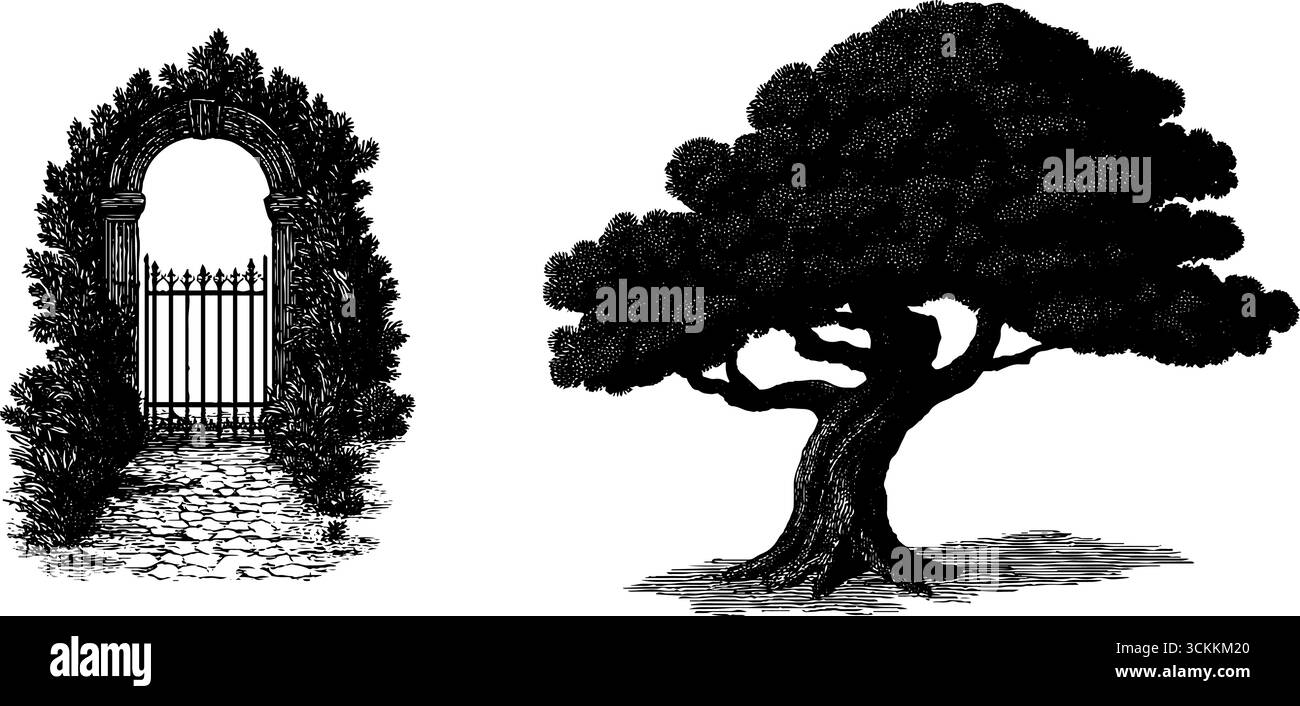 Vintage engraving of garden gate and majestic tree for classical ...