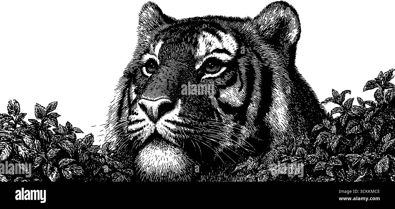 Surroundings vector vectors hi-res stock photography and images - Alamy