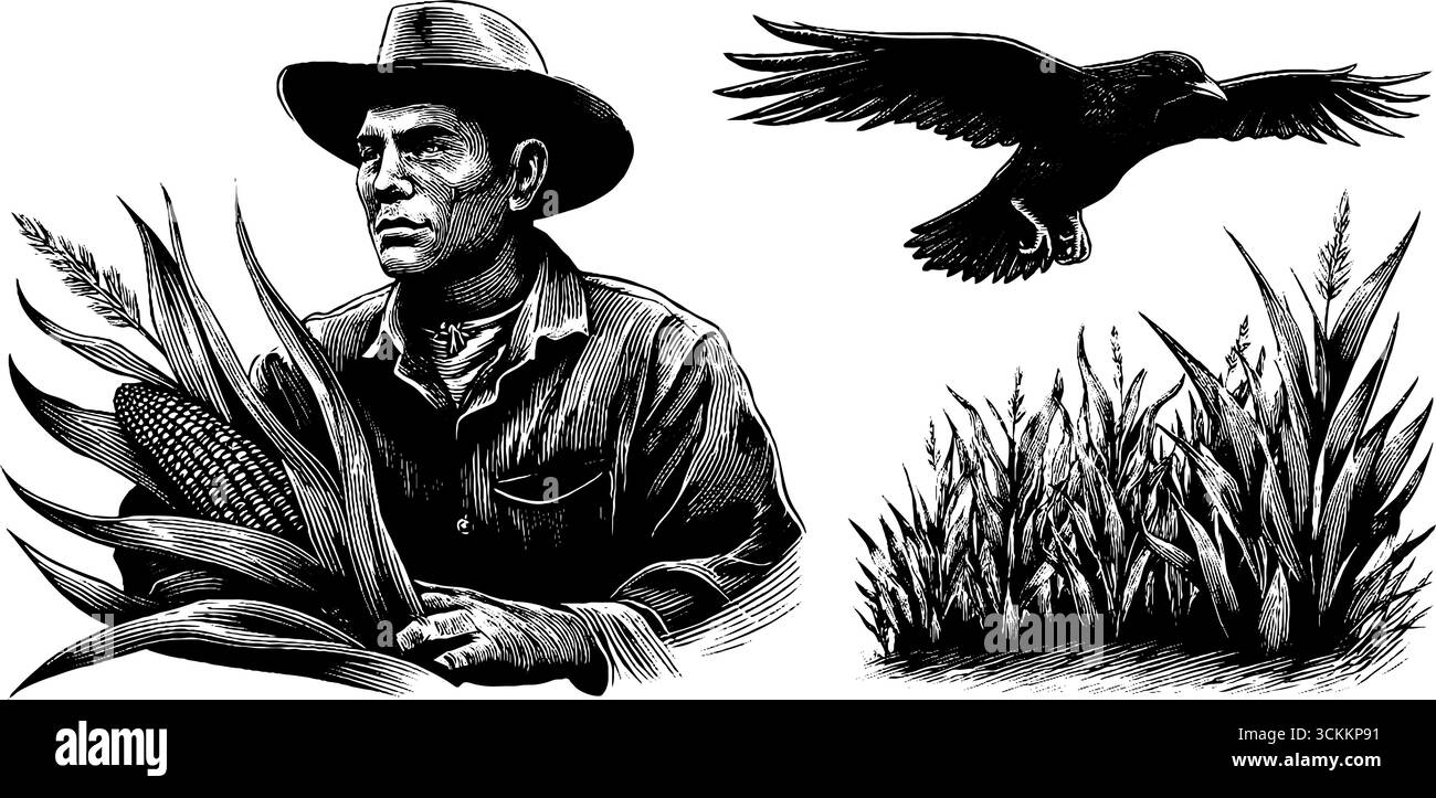 Engraved illustration of scarecrow with corn and crow in rustic ...