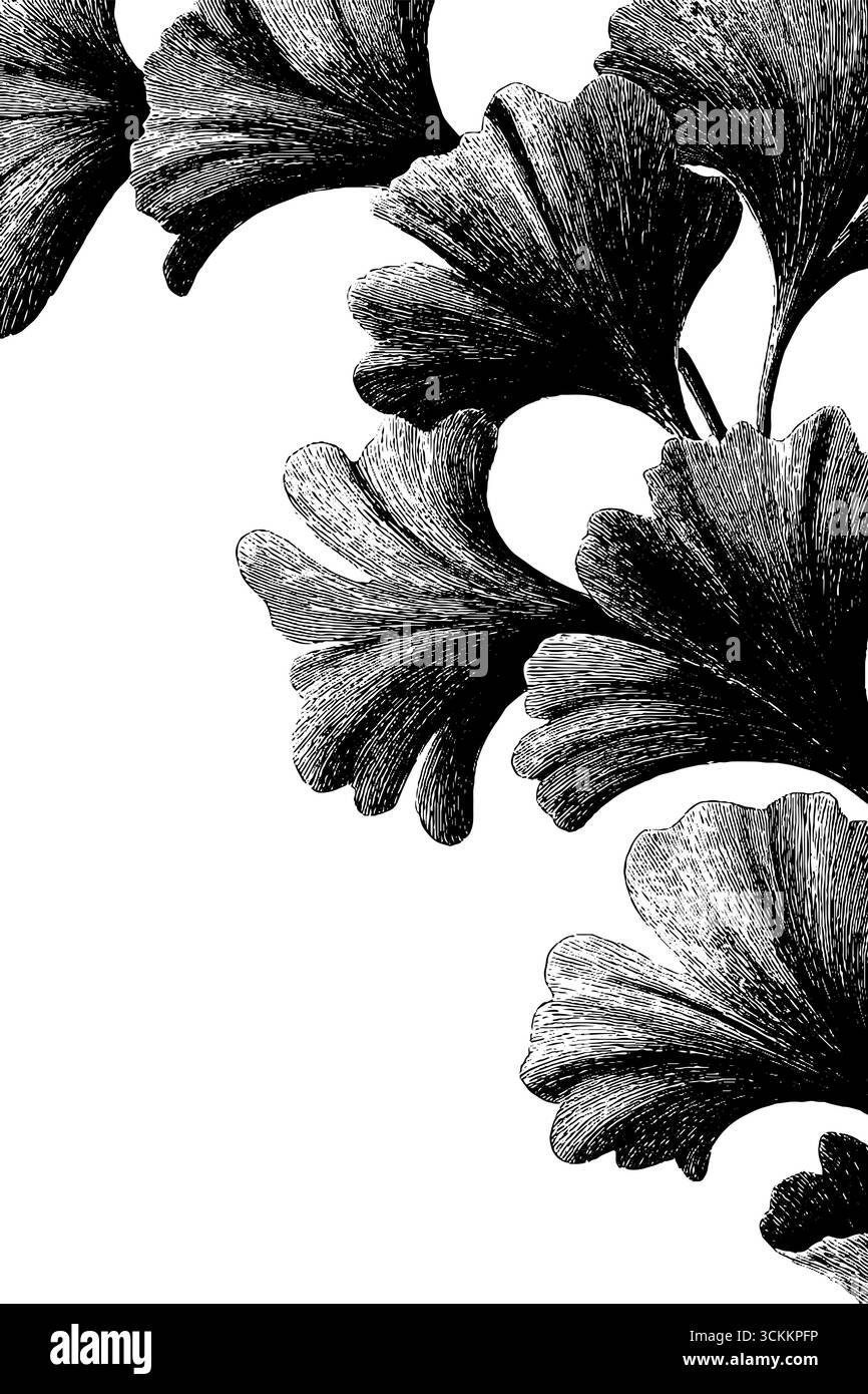 Elegant ornamental border with leaves in vintage engraved style for ...