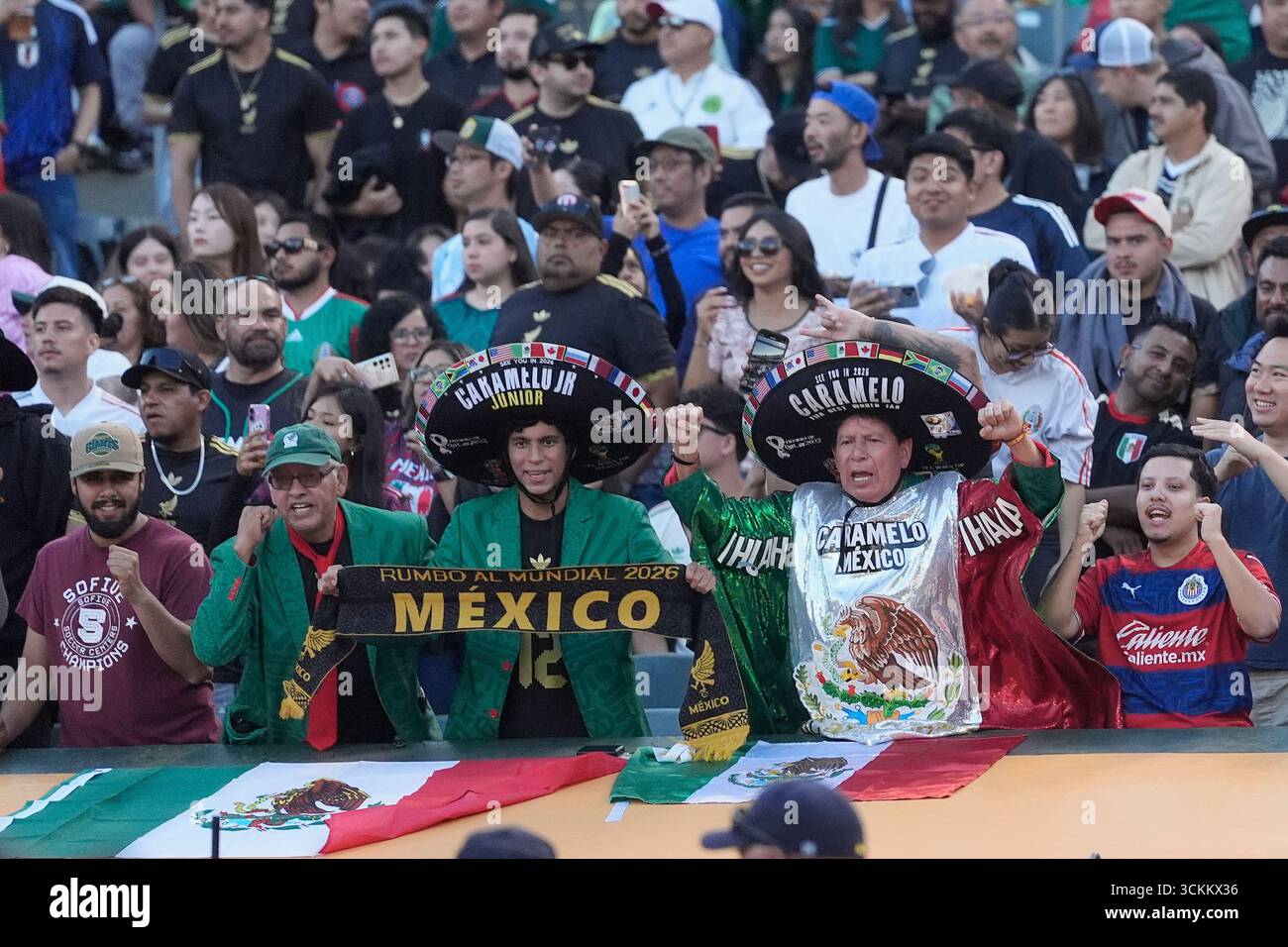 Mexico fans cheer before an international friendly soccer game between ...