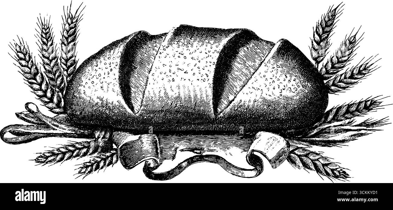 Sketch slice bread Cut Out Stock Images & Pictures - Alamy